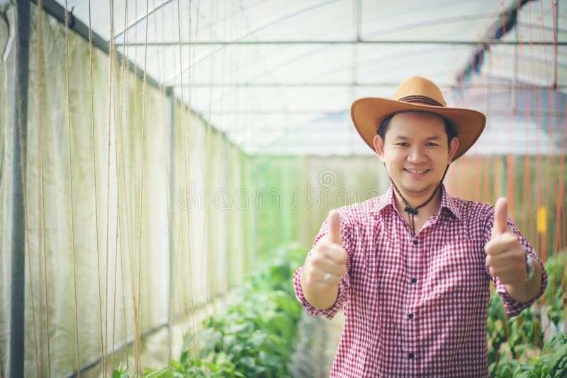 Farmer Man in Chilli Pepper Stock Image - Image of farming, agriculture ...