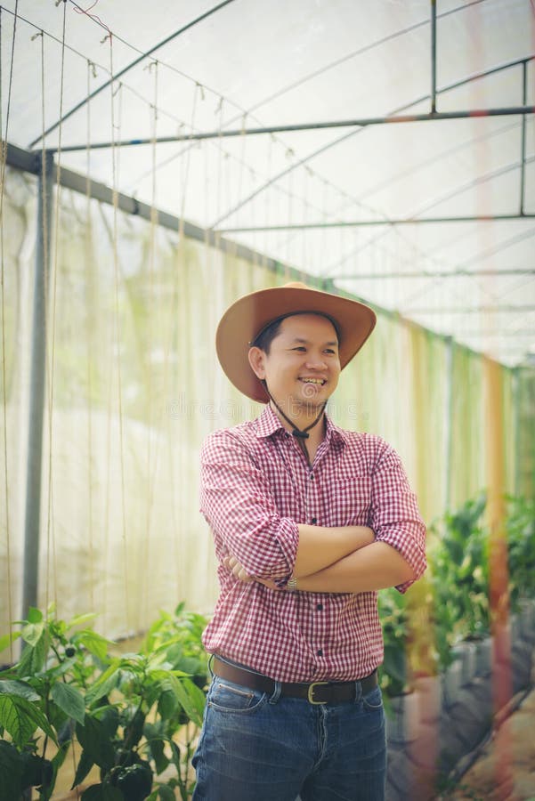 Farmer Man in Chilli Pepper Stock Photo - Image of happy, farming ...