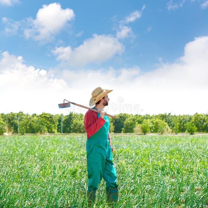 Farmer Man with Hoe Looking at His Field Stock Photo - Image of ...