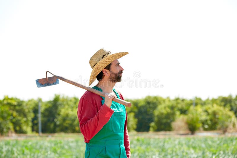 Farmer Man with Hoe Looking at His Field Stock Photo - Image of organic ...