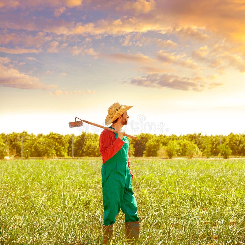 Farmer Man with Hoe Looking at His Field Stock Photo - Image of ...