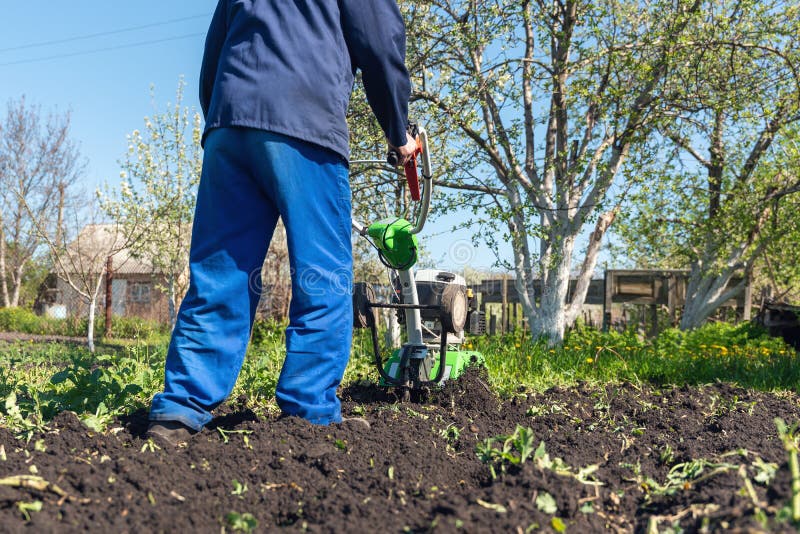 Farmer Man Plows the Land with a Cultivator Preparing the Soil for ...