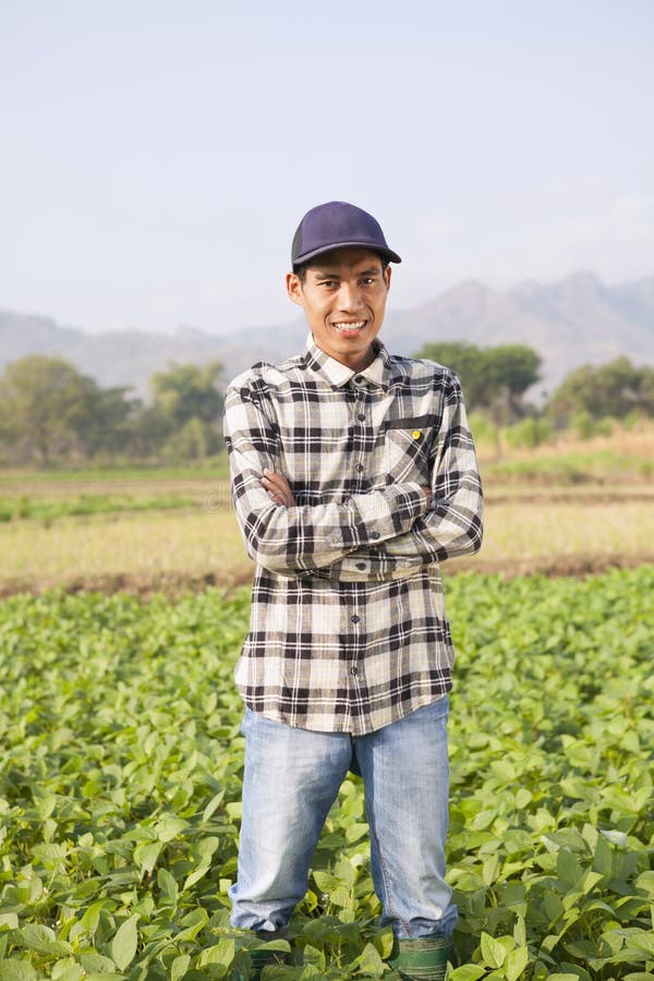 Farmer man stock photo. Image of labor, labour, inspect - 48010910