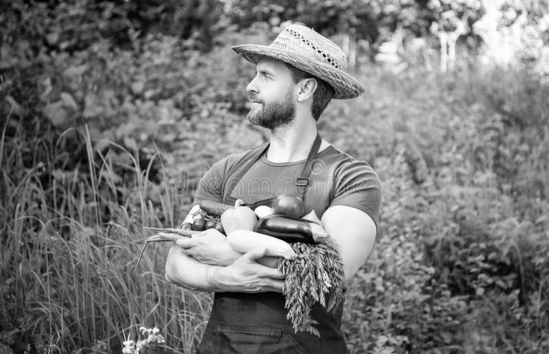 Farmer Man in Straw Hat Hold Fresh Ripe Vegetables Stock Image - Image ...