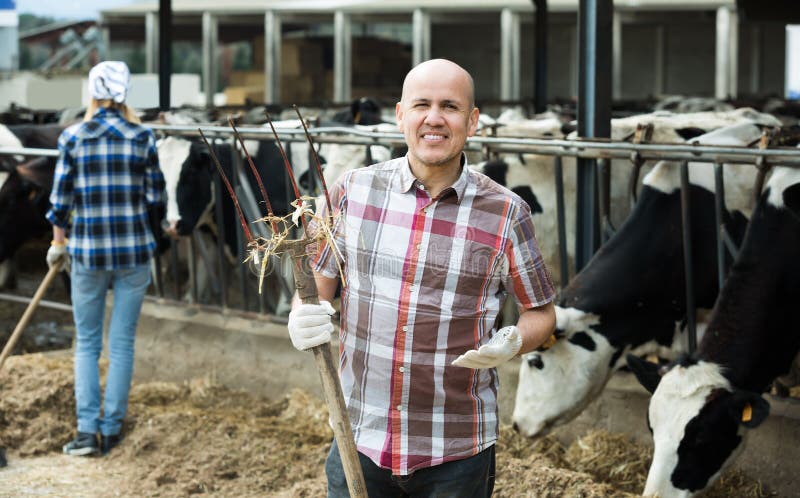 Male Farmer Holding Agricultural Tool Stock Photo - Image of animals ...