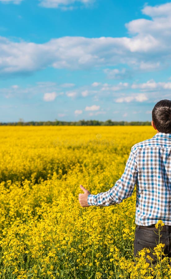Farmer in Mustard Field. Selective Focus Stock Image - Image of rural ...