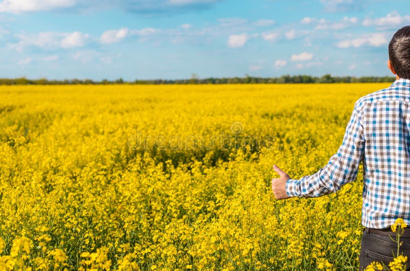 Farmer in Mustard Field. Selective Focus Stock Photo - Image of ukraine ...