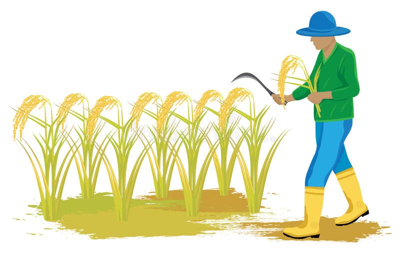 Asian Farmer Rice Field Stock Illustrations – 3,036 Asian Farmer Rice ...