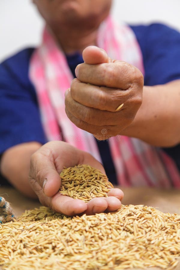 Farmer stock image. Image of harvest, full, farm, asia - 38899921