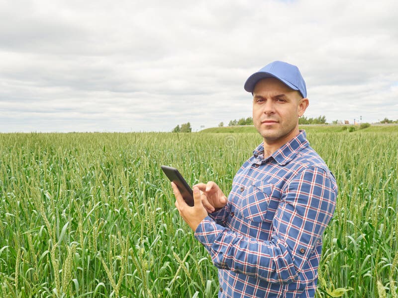 Farmer in Plaid Shirt Controlled His Field Looking at Tablet Stock ...