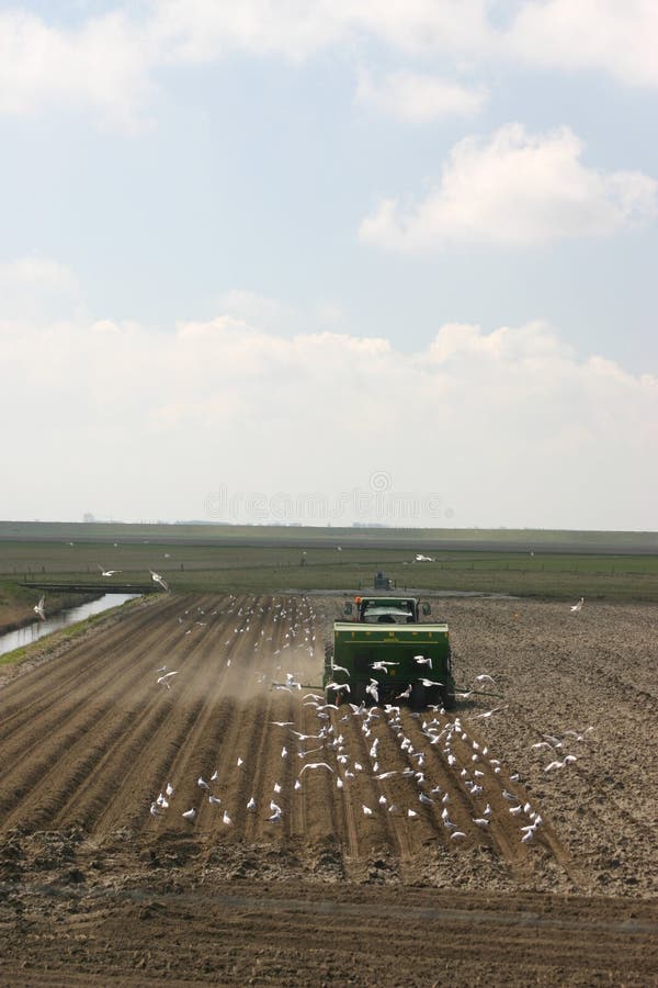 Farmer planting stock image. Image of horizon, plant, crops - 734451