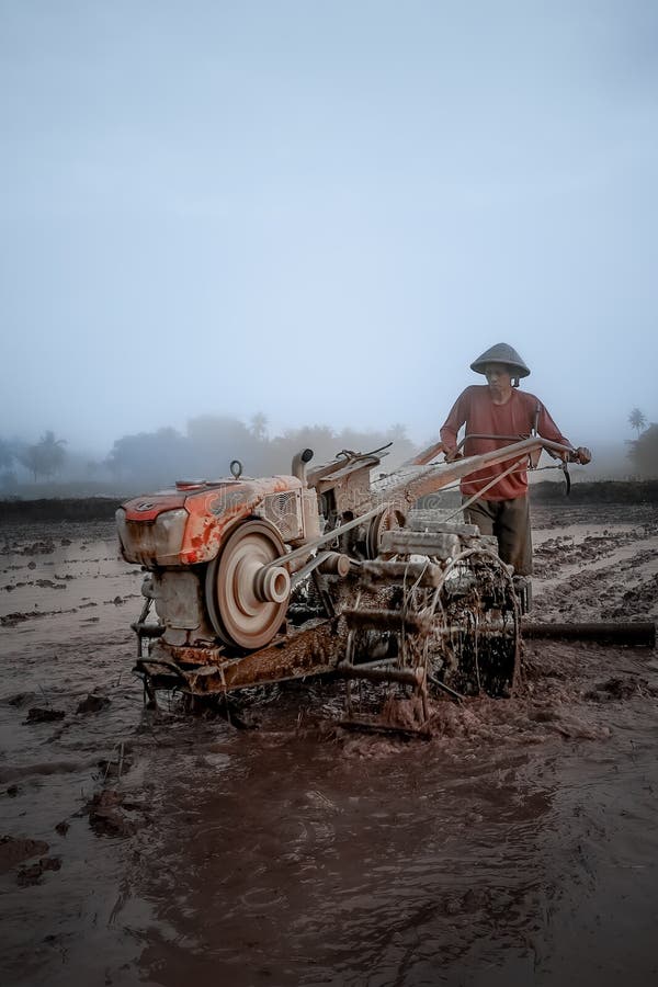 A Farmer Plowing the Field in Magelang, Central Java, Indonesia ...