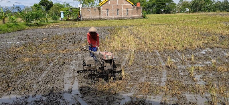 A Farmer is Plowing a Field with a Tractor Engine? Stock Photo - Image ...