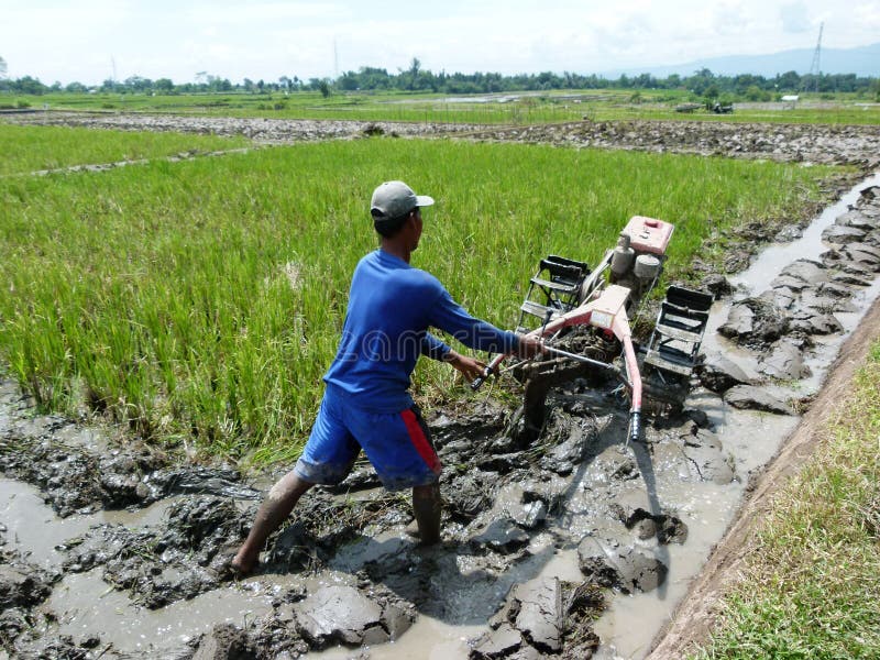 Farmer editorial photo. Image of plowing, java, village - 67439991