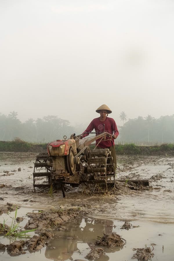 A Farmer Plowing the Field Using Tractor Machine. Editorial Stock Image ...