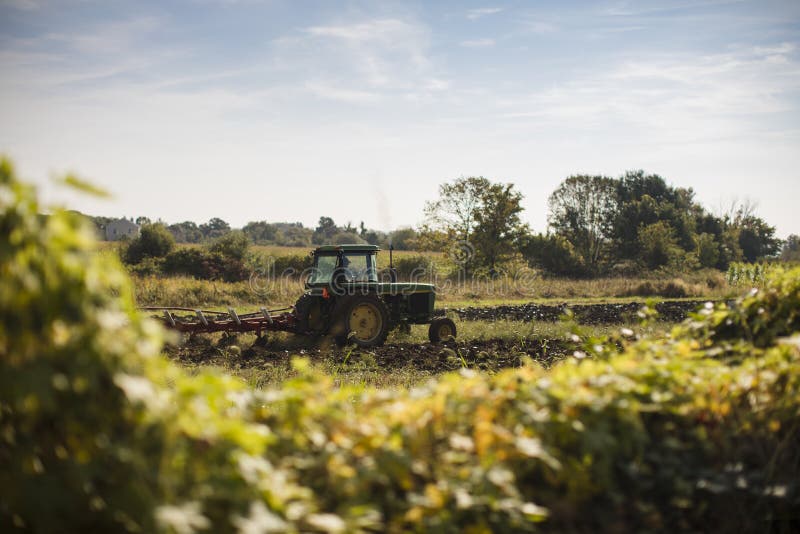 Plowing a Corn Field with an Old Tractor Editorial Image - Image of ...