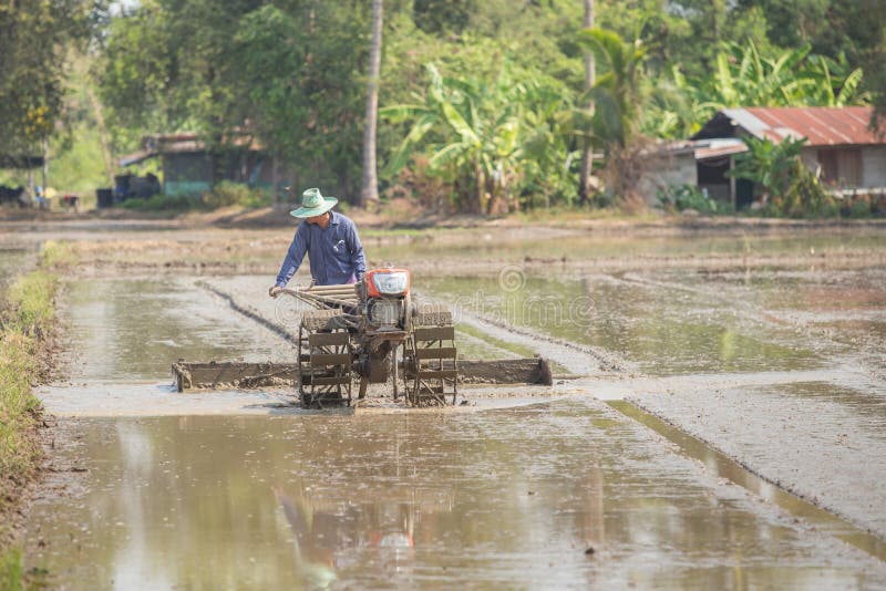Thai Farmer Using Tiller Tractor Rice Field Stock Photos - Free ...