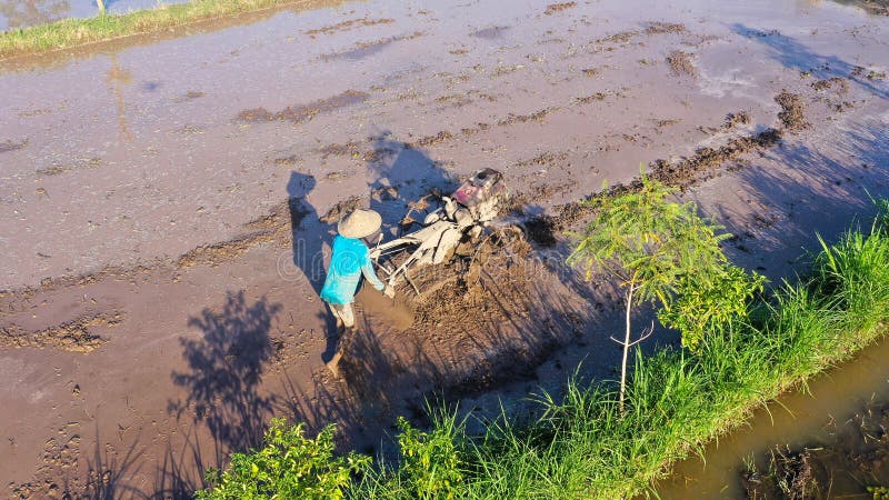 A Farmer Plows a Field with a Hand Tractor Farming Machine in a ...