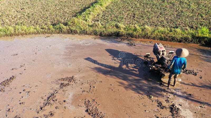 A Farmer Plows a Field with a Hand Tractor Farming Machine in a ...