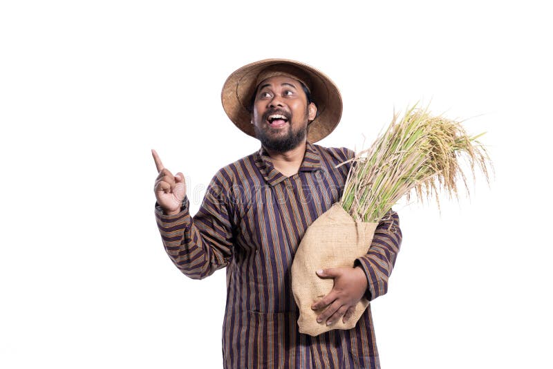 Farmer Pointing To Up Copy Space while Carrying Rice Plant Stock Image ...
