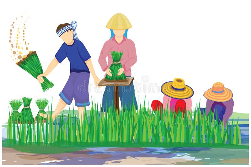 Draw Field Rice Stock Illustrations – 262 Draw Field Rice Stock ...