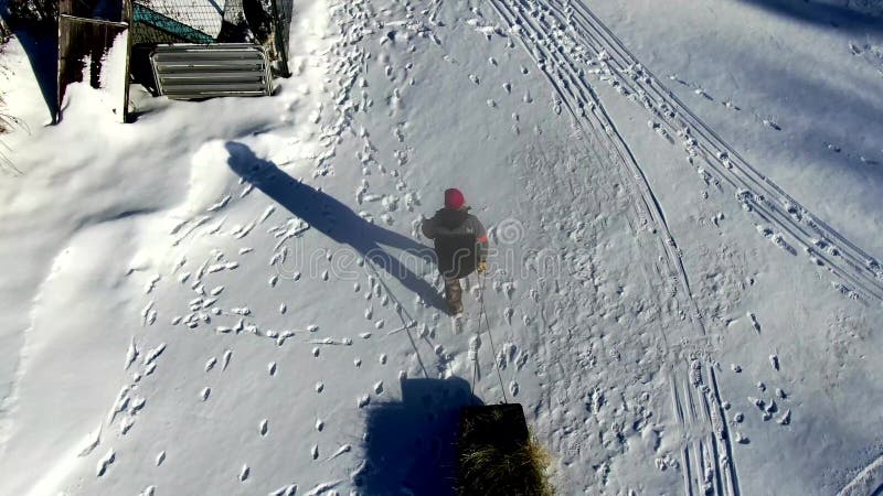 Farmer Pulling Bail of Hay on Sled Stock Video - Video of winter ...