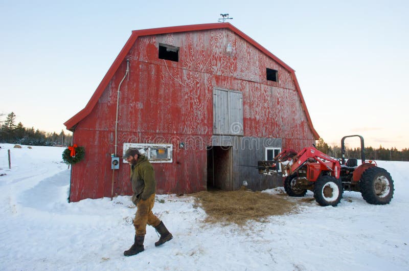 Farmer, Red Barn, and Red Tractor Editorial Photo - Image of close ...