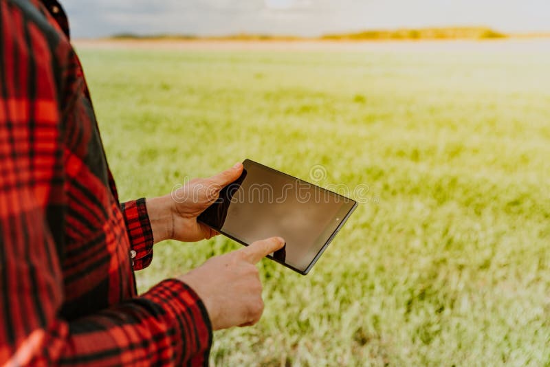 Farmer in Red Checked Shirt Using Tablet on Wheat Field Stock Image ...