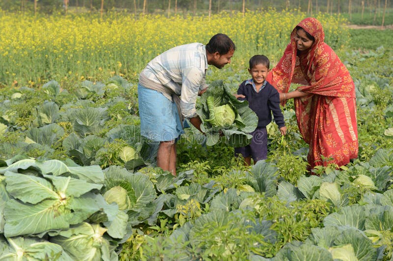 Farmer s Family editorial stock image. Image of cultivation - 48365479
