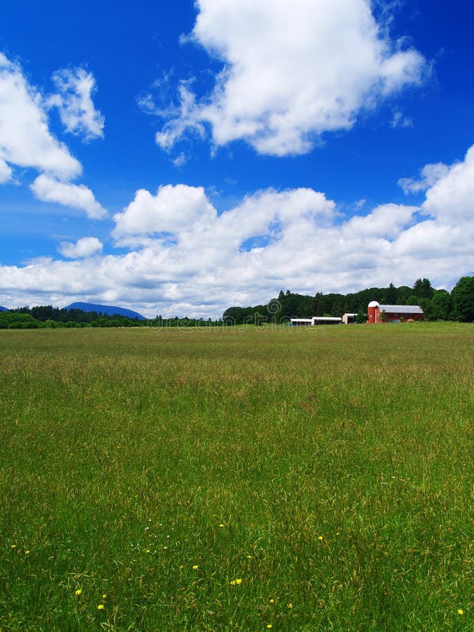 Fall Barnyard stock photo. Image of autumn, wool, fall - 332780
