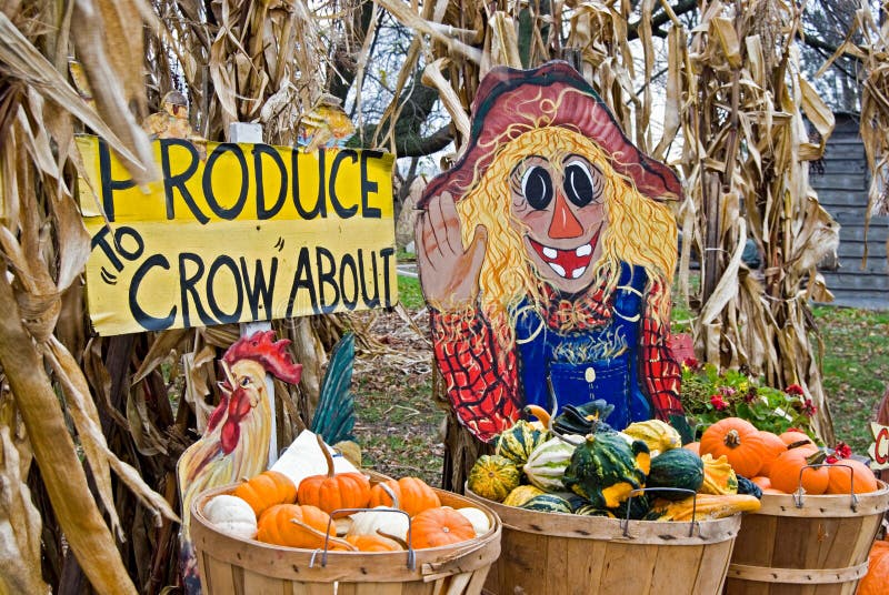 Farmer s Fun Market stock photo. Image of fall, colorful - 11879054