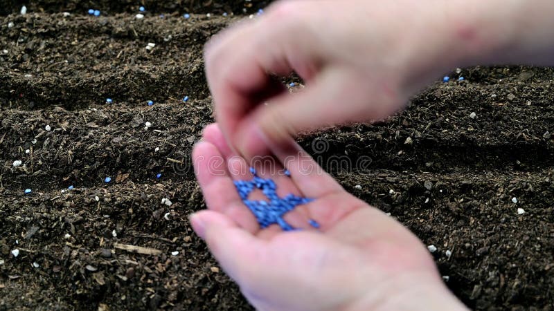 Farmer`s Hand Planting Seed in Soil Stock Video - Video of spring, farm ...