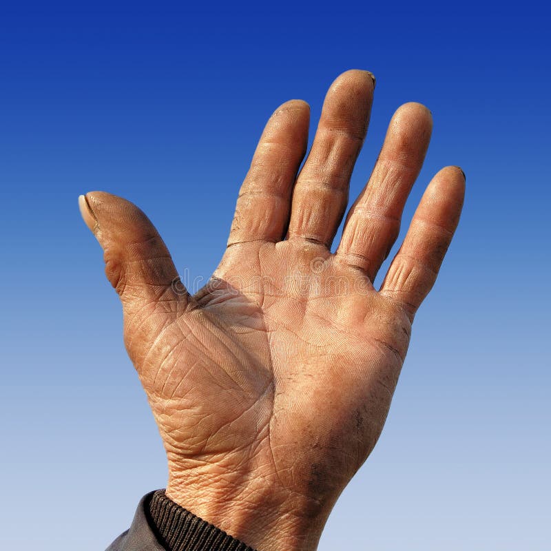 Farmer s rough hand stock image. Image of vein, hard, gripping - 4666025