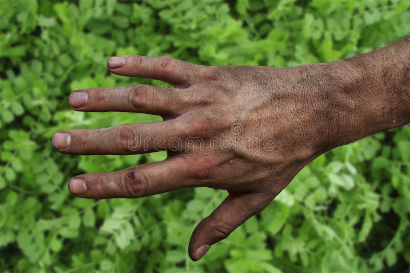 Farmer`s Rough Hand on Green Grass Fertile Soil Stock Photo - Image of ...