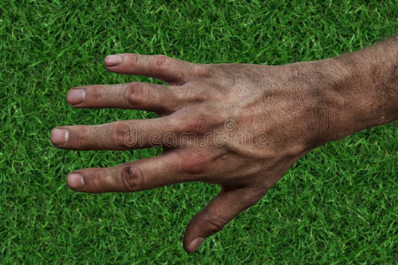 Farmer`s Rough Hand on Green Grass Fertile Soil Stock Photo - Image of ...