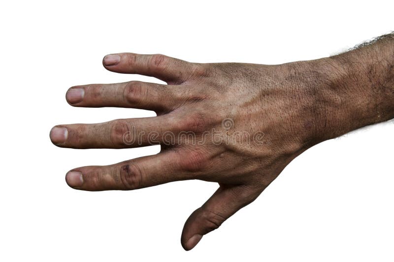 Farmer`s Rough Hand Isolated on White Stock Image - Image of vein ...