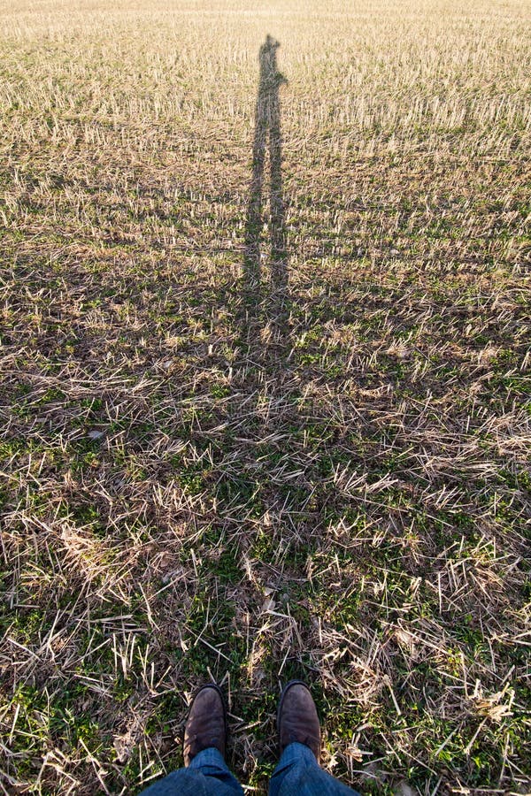 Farmer s shadow stock image. Image of gold, farmer, grass - 29715873