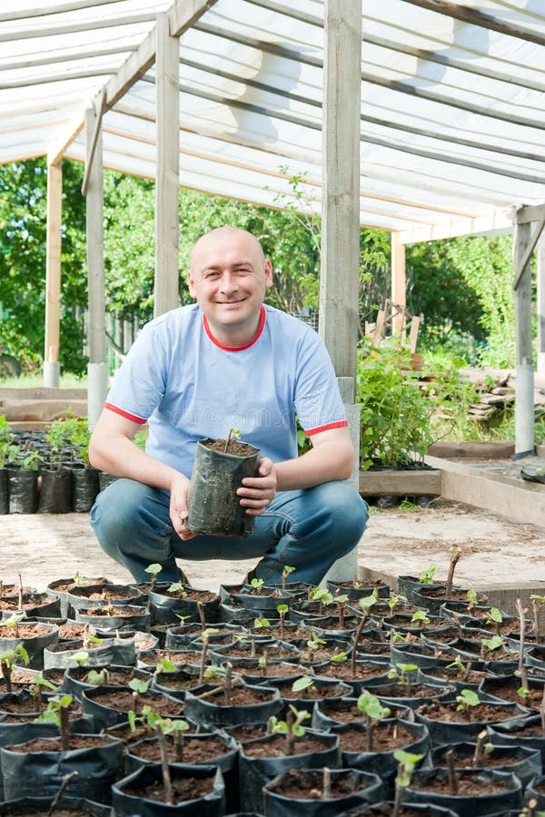 Farmer with seedlings stock photo. Image of seedling - 24237006