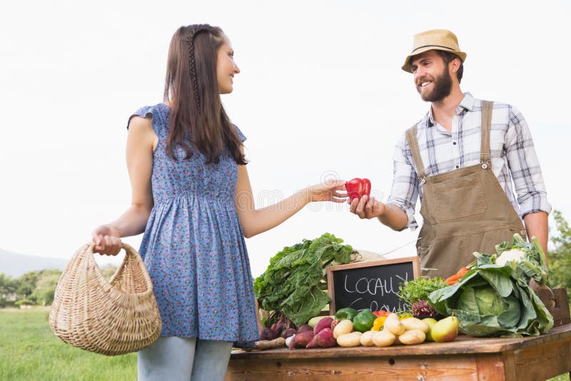 Farmer Selling His Organic Produce Stock Image - Image of grown ...