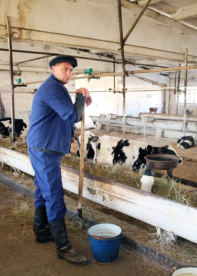 Farmer stock image. Image of cleaning, occupation, mammals - 62932029