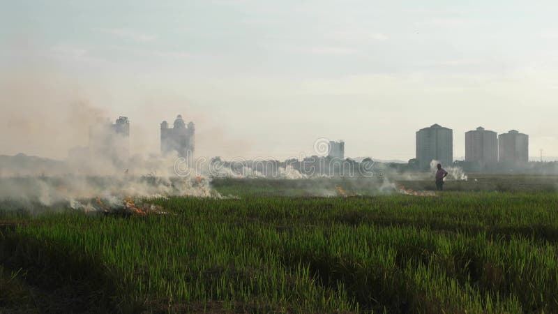 Farmer Set Fire at the Open Field Stock Footage - Video of burn, global ...