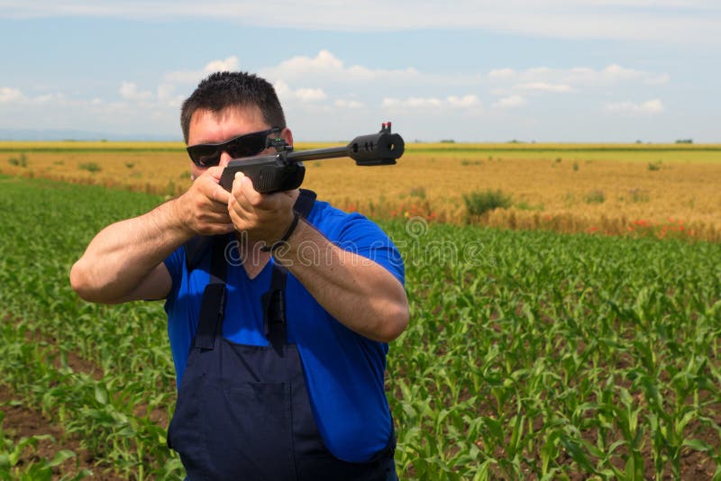 Farmer is Shooting with Air Gun in the Corn Field Stock Photo - Image ...