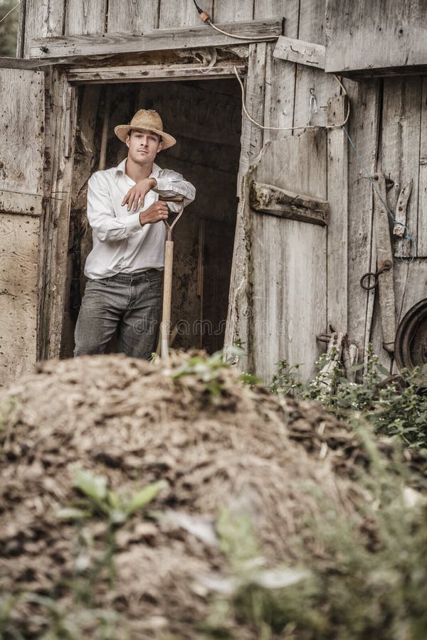 Farmer Shoveling the Horse Manure Stock Photo - Image of caucasian ...
