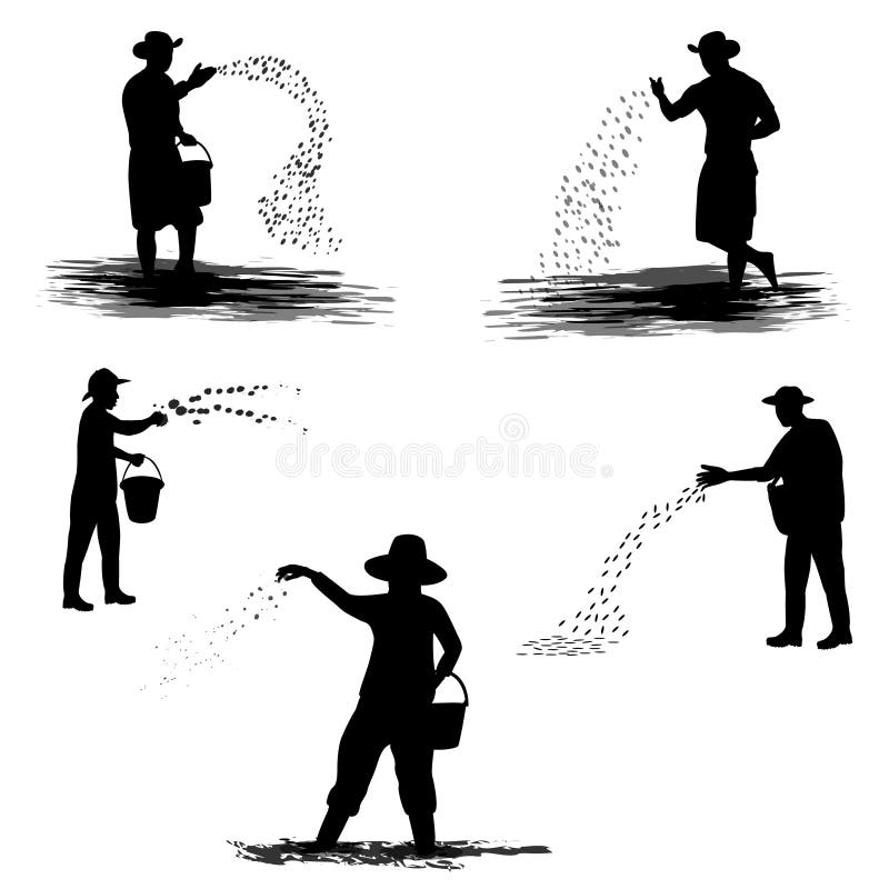 Farmer sowing rice stock vector. Illustration of cartoon - 123043859