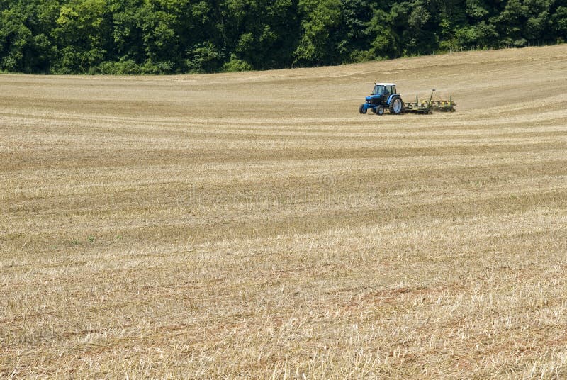 Farmer Sows Seed for Second Hay Crop Stock Photo - Image of planting ...