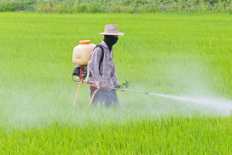 Farmer spraying pesticide editorial stock photo. Image of spraying ...