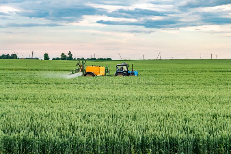 Farmer Spraying Wheat Field with Tractor Sprayer at Spring Season Stock ...