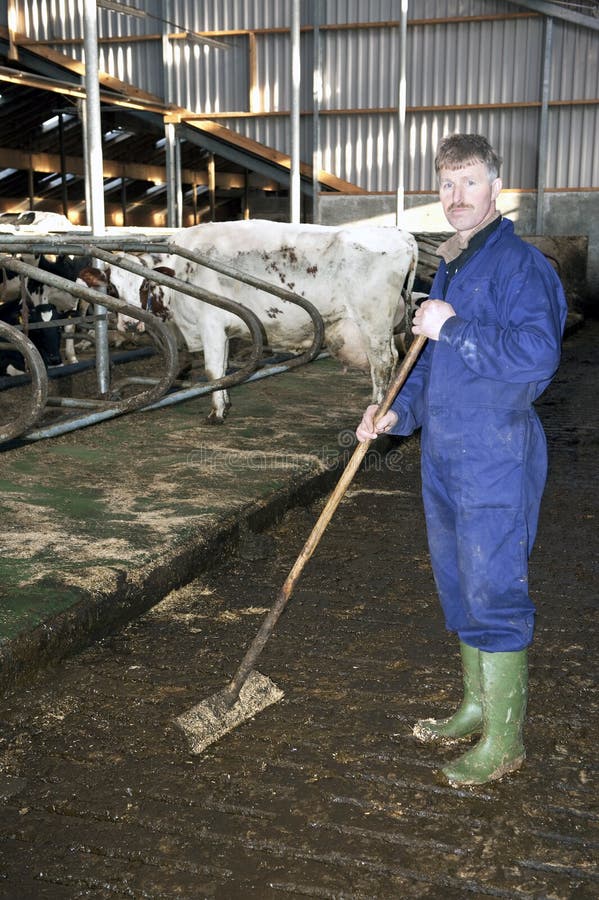 Stable cleaning stock photo. Image of skylights, boots - 13127570