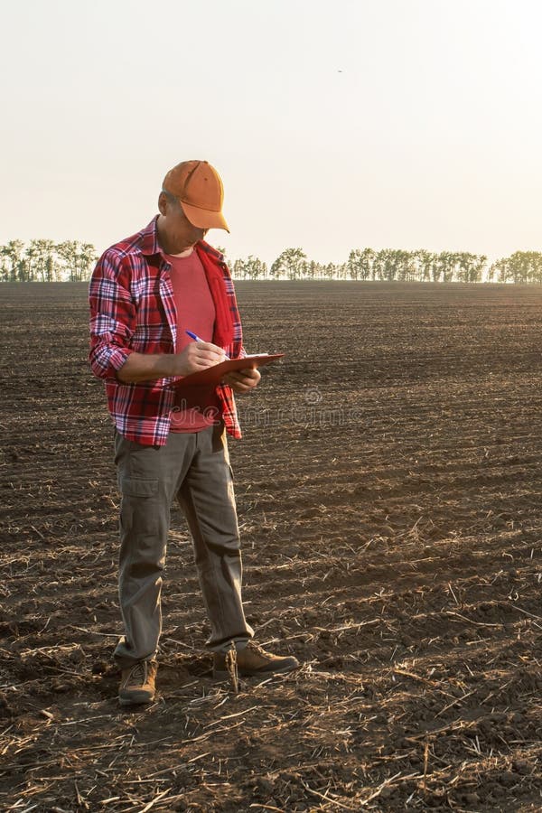 Farmer Standing in Field Use Check List on Clip Board for Check Quality ...