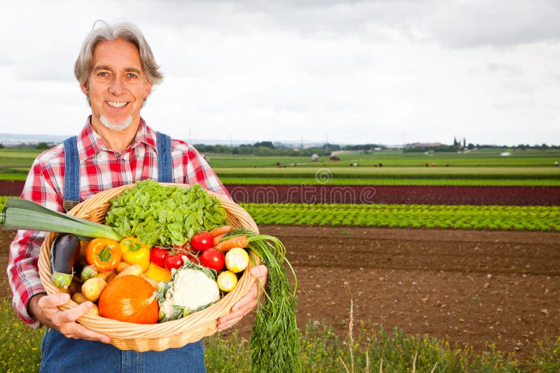 Farmer Standing in Front of His Field Stock Photo - Image of food ...